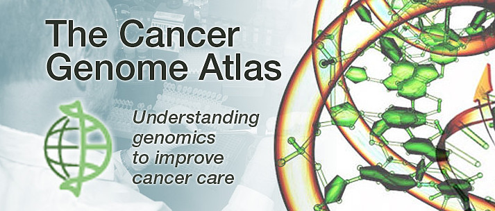 【盘点】癌症基因组亮点研究荟萃 癌症基因组图谱计划（The Cancer Genome Atlas，TCGA）是国际癌症基因组联盟最大的一个 ...