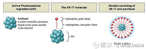 紫杉醇升级之路：全球改良型新药的典范2018年2月12日，石药集团公告称其注射用紫杉醇（白蛋白结合型）获CFDA批准上市... - 雪球