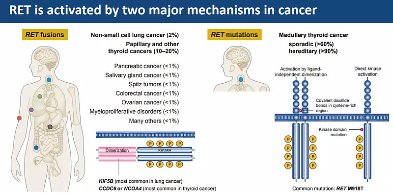 新一代明星RET抑制剂的头对头较量：BLU-667 vs LOXO-292 RET（rearranged during ...