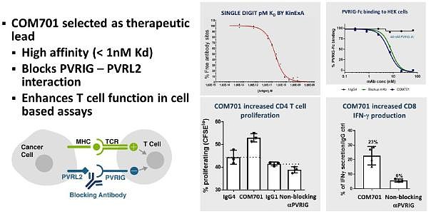 全球首个针对PVRIG靶点治疗性抗体获批临床 2018年7月2日，以色列Compugen公司宣布其针对PVRIG的治疗性抗体COM701获 ...