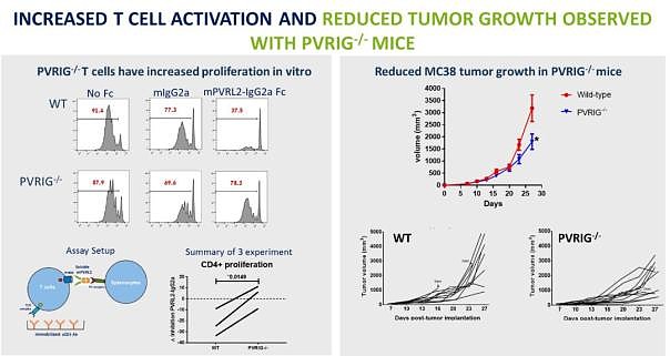 全球首个针对PVRIG靶点治疗性抗体获批临床 2018年7月2日，以色列Compugen公司宣布其针对PVRIG的治疗性抗体COM701获 ...