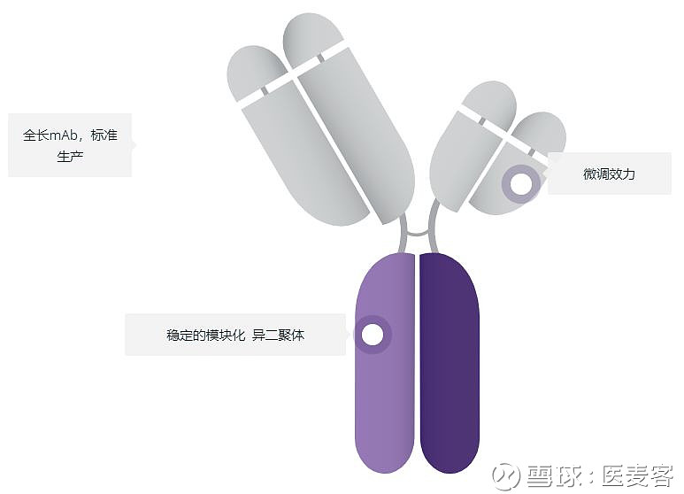 Xencor宣布靶向PD-1和ICOS的双抗候选药物1期临床首位患者给药完成丨医麦猛曝料 点击图片了解详情 2019年5月7日/医麦客 eMedClub/--作为一家临床阶段的生物制药公司 ...