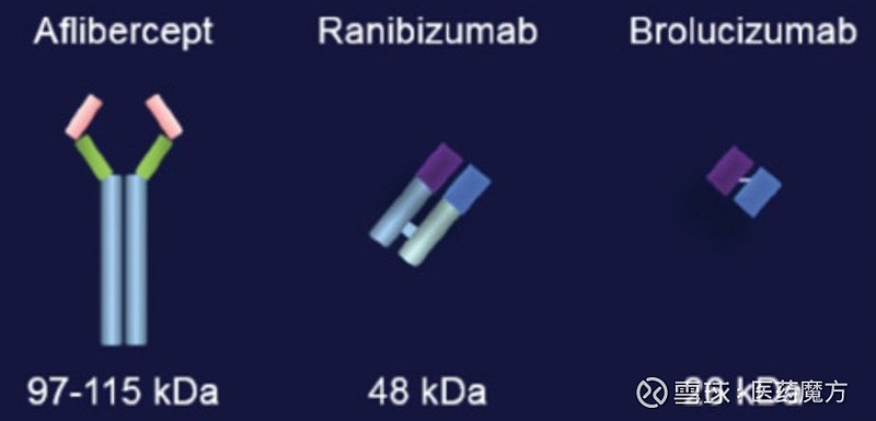 诺华重磅AMD新药Brolucizumab三个适应症获批临床 Brolucizumab（RTH258）是一种人源化单链抗体片段（scFv ...
