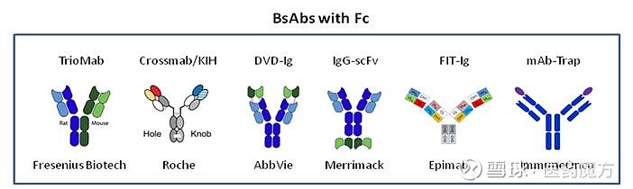 田文志：双抗分子设计应“大道至简”，靶点选择应基于科学认知 文 | 田文志 宜明昂科 创始人近年来双/多靶点抗体成为了生物药领域研发的热点，从 ...