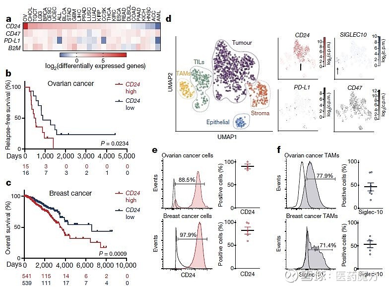 Nature：癌症免疫疗法新靶点——CD24 【作者：曼话】正常来说，被称为巨噬细胞的免疫细胞会检测到癌细胞，然后吞噬并消灭它们。然而，近年来 ...