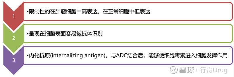 抗体偶联药物（ADC）发展的挑战与展望 1.“精确制导武器”ADC 治疗性抗体虽靶向性强但分子量相对较大，治疗效果有限；小分子化学药物虽对癌 ...