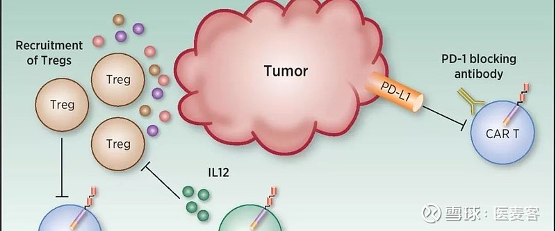 Cellectis携手瑞士CDMO巨头Lonza，推进同种异体UCART候选产品的临床制造... 点击阅读原文，抢先报名！ 10月24日至25 ...