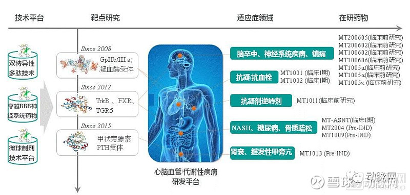 【首发】麦科奥特（MICOT）完成1.15亿元Pre-A轮融资，多肽新药国内创造2.2亿元成果转让 动脉网获悉，近日，陕西麦科奥特科技有限公司 ...
