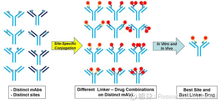 新码生物和Ambrx合作开发和商业化CD70抗体偶联药物! 2019 年10月22 日 浙江医药 股份有限公司下属子公司浙江新码 生物医药 ...