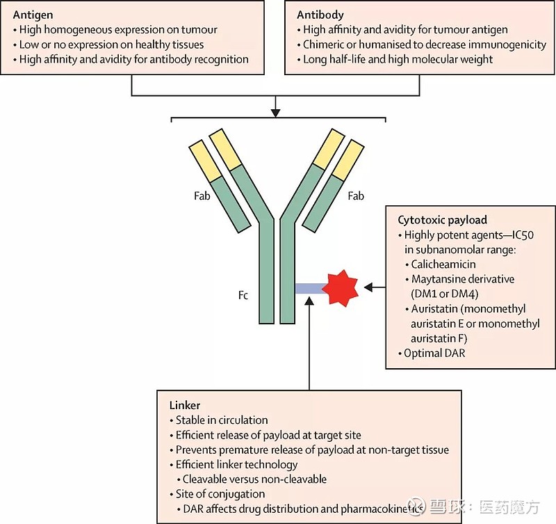《柳叶刀》揭秘抗癌导弹ADC药物：三大设计要素、5款上市产品、多个在研明星…… 抗体-药物偶联物(Antibody–drug ...