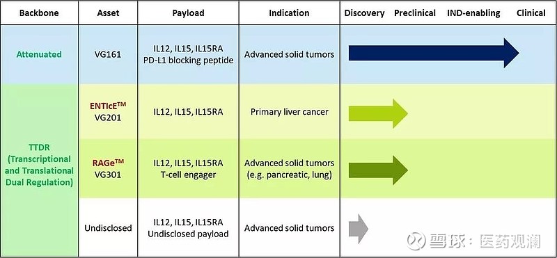 全球首个携带四个免疫因子的溶瘤病毒产品正式迈入临床！ 医药观澜/报道 近日，复诺健生物（Virogin Biotech ）宣布，该公司自主研发 ...