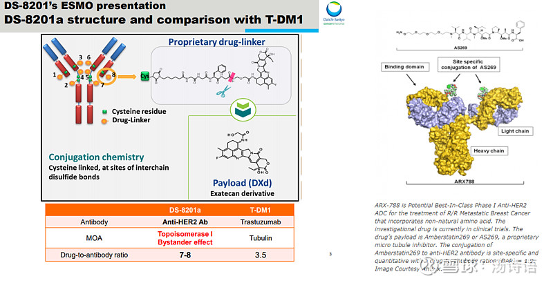 第一三共的DS-8201，Drug-to-antibody ratio是7~8；罗氏2012年上市的T-DM1（Perj... - 雪球