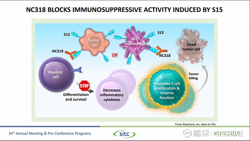 重磅！Nextcure公布NC318的最新一期临床结果 11月6日，专注于下一代肿瘤免疫治疗药物开发，由陈列平团队创办的 Nextcure ...