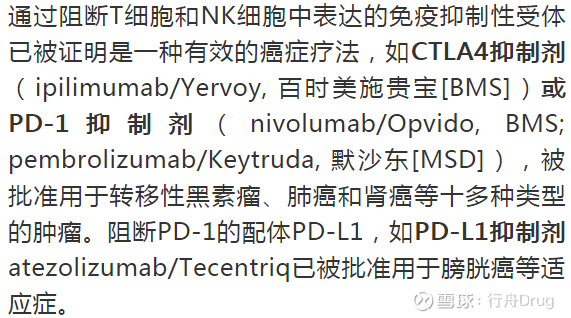 下一代肿瘤免疫疗法，小分子或引领巨大浪潮 点击上方的 行舟Drug 添加关注 人源化单克隆抗体（mAb） CAR-T细胞疗法 肿瘤疫苗 现有 ...