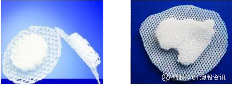 澳洲3D打印医药公司Osteopore签约中国医美护理中心 3D打印医药公司Osteopore Limited（ASX: OSX）和中国海南省 ...