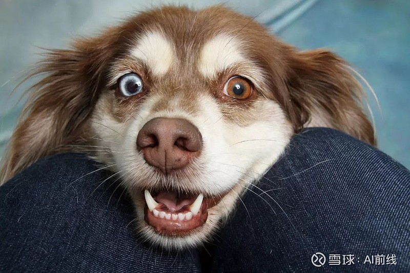 Nature官方劝退：读博实在太难了 作者 | Chris Woolston 译者 | 核子可乐 编辑 | 蔡芳芳 AI 前线导读：《自然 ...