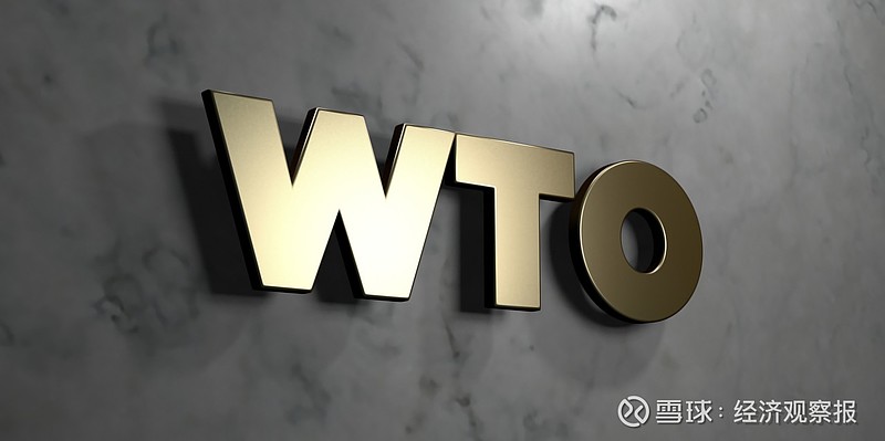WTO的“空椅危机” 成立25年的世界贸易组织（WTO）正面临着其历史上最大规模的危机。从12月11日开始，WTO争端解决机制中的上诉机构，即 ...