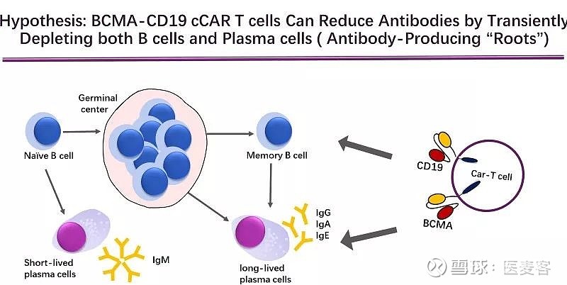 全球首个针对自身抗体介导疾病的BCMA-CD19 复合CAR亮相ASH 2019年12月14日/医麦客 eMedClub/--第61届美国血液学会（ASH）年会于2019年12月7 - 10日 ...