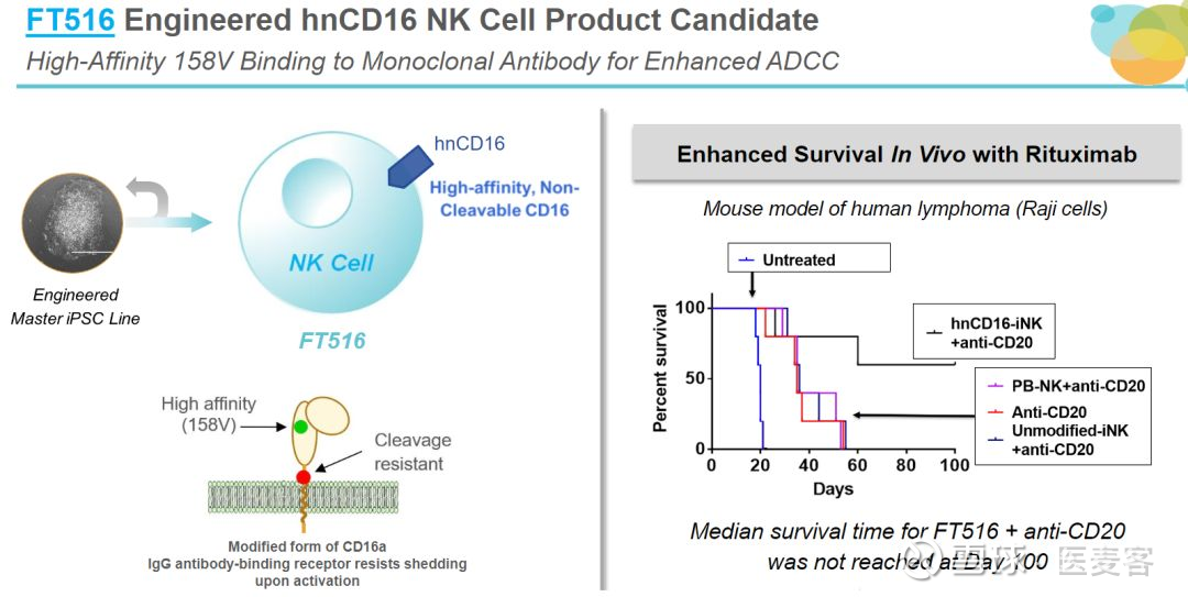 iPS细胞来源的CAR-T、CAR-NK、NK细胞疗法，低至3000美元的每剂量成本有望... 本文由医麦客原创，欢迎分享，转载须授权 ...