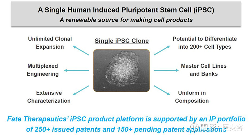 iPS细胞来源的CAR-T、CAR-NK、NK细胞疗法，低至3000美元的每剂量成本有望... 本文由医麦客原创，欢迎分享，转载须授权 ...