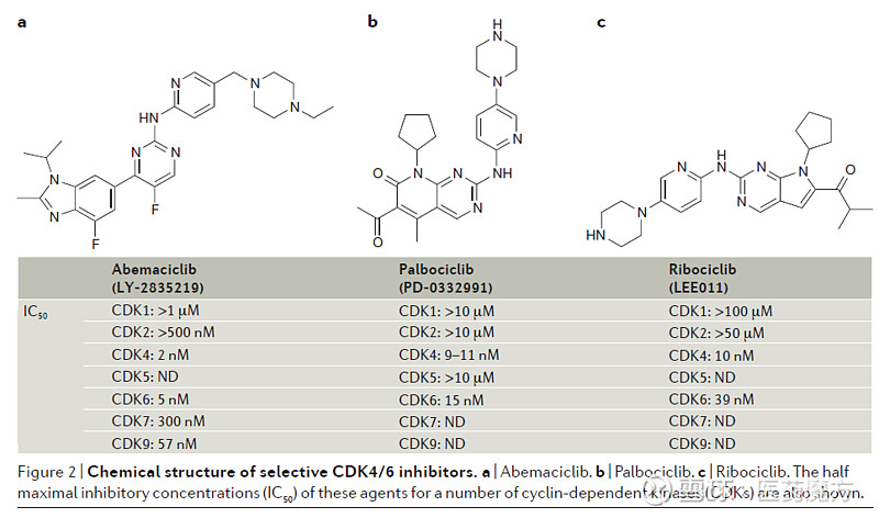 Science颠覆认知：一年卖40亿美元的重磅抗癌药，竟有不为人知的作用机制！ CDK4/6全称为Cyclin-dependent ...
