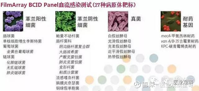 分子诊断精品之二生物梅里埃FilmArray多重PCR分析仪 扫码关注公众号↓↓↓有观点，有态度 这是医业观察公众号的第615-2期文章 导语 ...