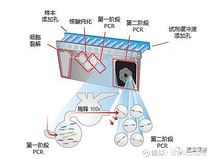 分子诊断精品之二生物梅里埃FilmArray多重PCR分析仪 扫码关注公众号↓↓↓有观点，有态度 这是医业观察公众号的第615-2期文章 导语 ...