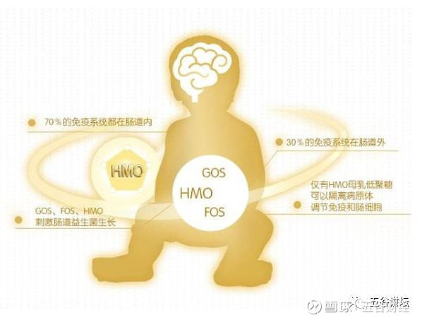 雀巢持股的母乳低聚糖公司卖身、作价59亿，仅有150名员工！ 荷兰皇家帝斯曼DSM已经就收购丹麦人乳低聚糖（或者母乳低聚糖，英文名字则是 ...
