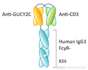 bioSeedin柏思荟：GUCY2C：能否为结直肠癌治疗带来新的突破 结直肠癌（CRC）是全球最高发肿瘤之一，目前手术仍然是CRC的主要治疗 ...