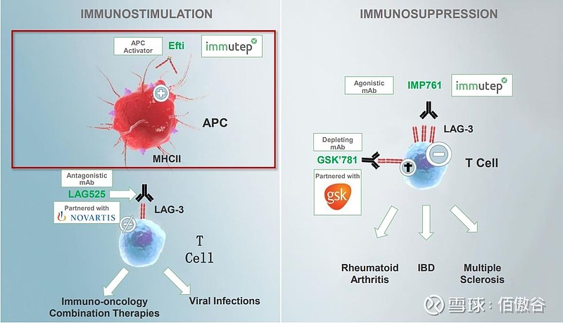Immutep公司LAG-3融合蛋白获FDA批准第二个IND 近日（2020年3月9日）， Immutep Limited 宣布美国食品和药物 ...