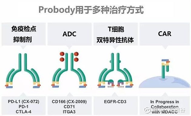前抗体技术：Cytomx、中外制药、天演药业、Bioatla 2020年3月24日，Cytomx宣布与安斯泰来达成合作协议，授权后者使用其 ...