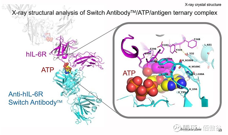 前抗体技术：Cytomx、中外制药、天演药业、Bioatla 2020年3月24日，Cytomx宣布与安斯泰来达成合作协议，授权后者使用其 ...