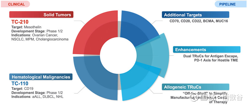 TCR-T免疫疗法： 治疗实体瘤的一把“利刃” TCR-T细胞疗法和CAR-T细胞疗法是两种通过基因修饰T细胞来治疗癌症的过继T细胞疗法。尽管CAR-T细胞治疗已经证明... - 雪球