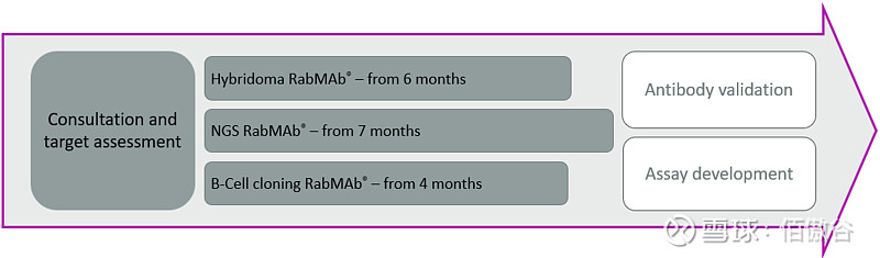 兔单抗：抗体开发平台新选择 2020年3月9日，瑞士Numab Therapeutics AG公司（以下简称“Numab公司”）宣布完成 ...