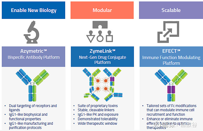 TIM-3抗体研发格局 2020年4月26日，诺华TIM-3抗体MBG453的临床申请获得NMPA受理，此前已经有恒瑞医药SHR-1702和科 ...