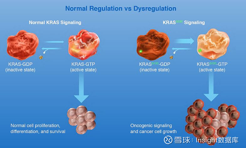 安进 KRAS 突变抑制剂 AMG 510 国内获批临床 4 月 29 日，CDE 官网显示， 安进 （Amgen）KRAS G12C 突变的 ...