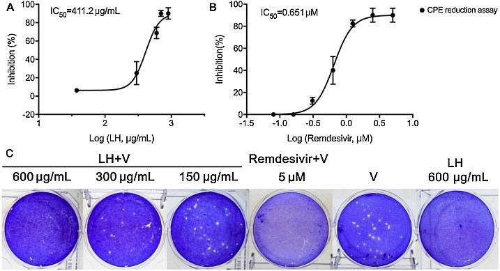 莲花清瘟和瑞得西韦:CC50/IC50/SI 这个论文里面比较了莲花清瘟和瑞得西韦的相关参数（Lianhuaqingwen exerts ...