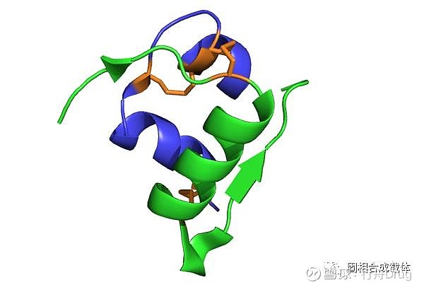 固相多肽合成（Solid-Phase Peptide Synthesis, SPPS） 点击上方的 行舟Drug 添加关注 我们先来说一个旧闻 ...