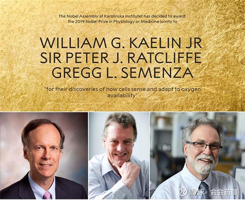 rhEPO丨最早用于临床的基因工程药物之一，国产长效化升级在即 获取更多资讯 记得先点蓝字关注～作为最早应用于临床、全球销售额最高的重组蛋白 ...