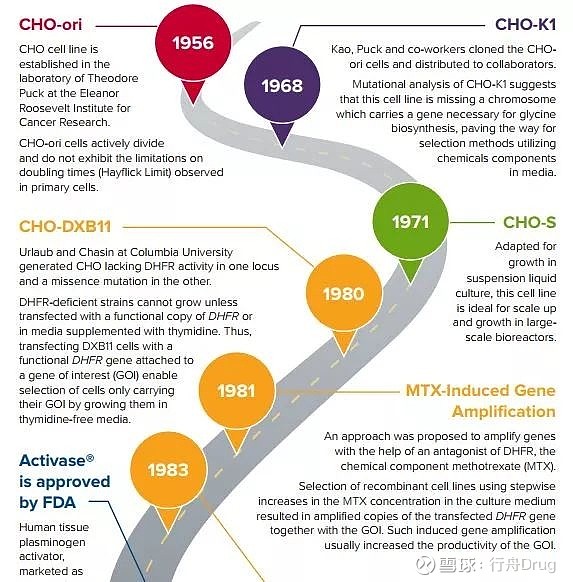 从北京到世界: CHO细胞的“中国往事” 点击上方的 行舟Drug 添加关注图片来源：网页链接 众所周知，中国仓鼠卵巢（CHO）细胞是生产蛋白 ...