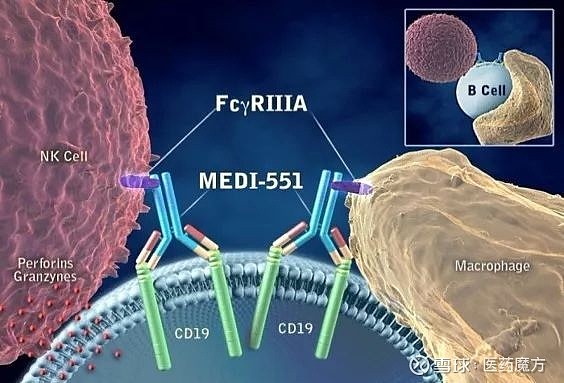 FDA批准Viela Bio公司CD19单抗上市！豪森药业拥有中国权益 6月11日，FDA批准Viela Bio公司的CD19单抗 ...