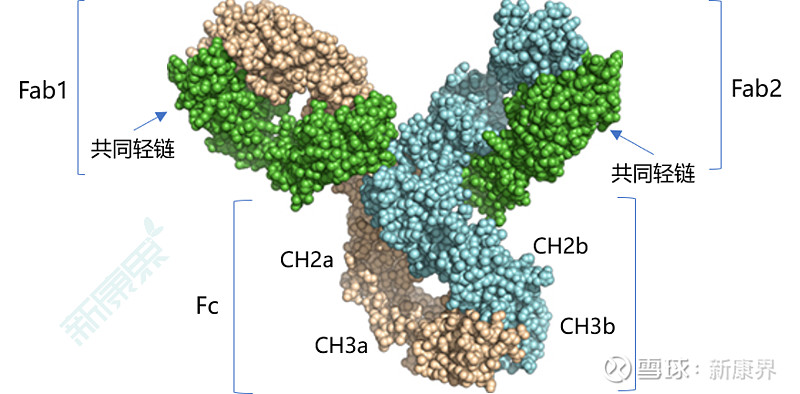 赛诺菲携手康宁杰瑞开发KN026双抗，HER2领域再添黑马 近期，赛诺菲(Sanofi)可以说是动作频频。 2019年12月，赛诺菲表示将停止 ...