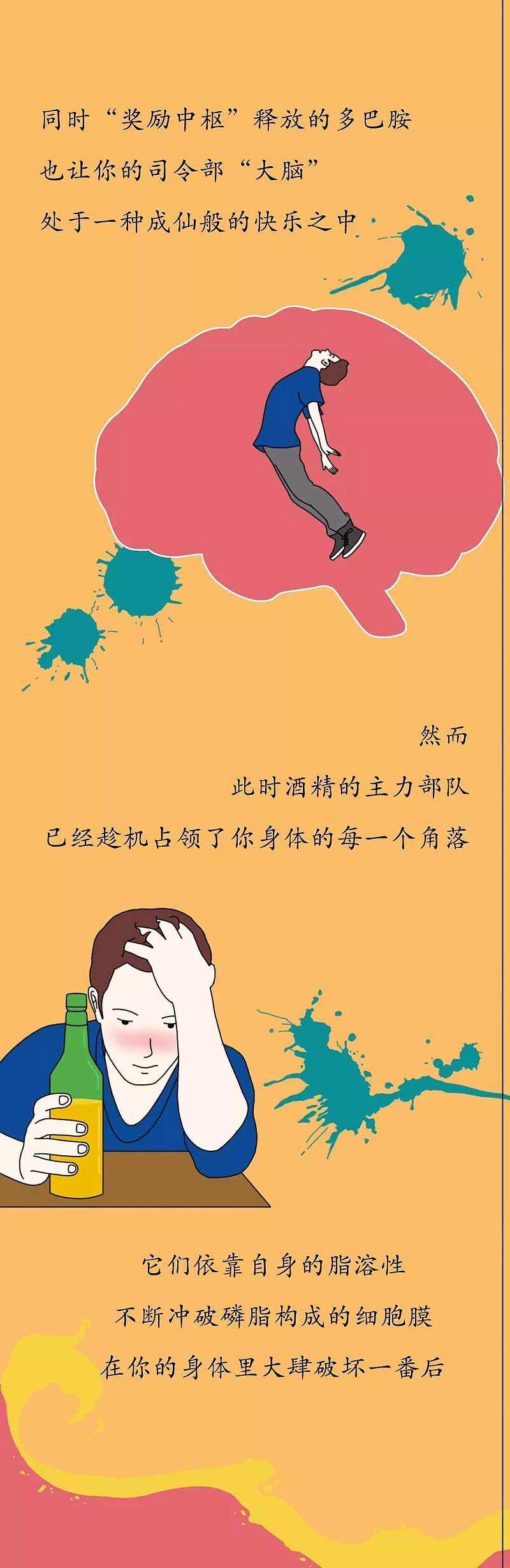 酒精进入体内的24小时,告诉你为什么劝你戒酒 医学书库导语喝酒后,酒精进入人体的代谢情况来源|好医师 雪球