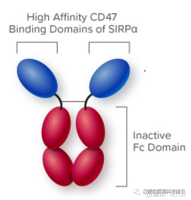 【78】CD47系列报告之二：Trillium、ALX和宜明昂科的Fc融合蛋白 大家好，这里是汉靓的医药科技前沿的第78期！在75期和大家介绍CD47龙头公司Forty Seven被 ...
