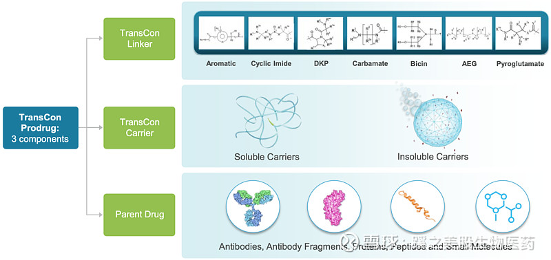 Ascendis Pharma：未来长效激素和药物的领导者 作者：蹊之 公众号：蹊之美股生物医药/AlleyMazeResearch 标的公司 ...