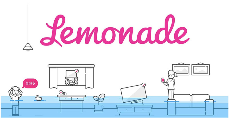 Lemonade，一家值得跟很久的公司 非常有趣的公司，看起来就像 PDD +BILI~核心观点：1.看好 Lemonade 颠覆了传统保险 ...