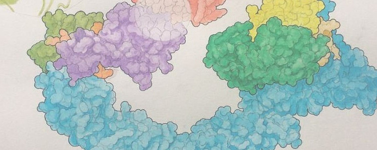 从Nurix上市看国内PROTAC投资机会 $Nurix Therapeutics(NRIX)$ $恒瑞医药(SH600276)$ $开拓药业 ...