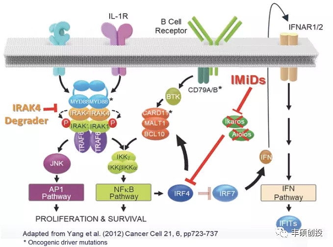 乘风破浪的PROTAC药物离人们再近一步 $Kymera Therapeutics(KYMR)$ $Nurix Therapeutics ...
