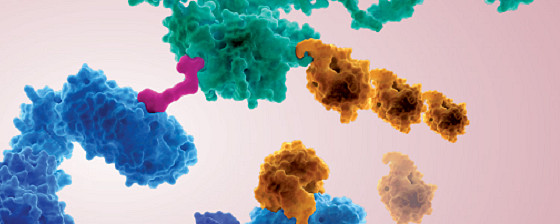 乘风破浪的PROTAC药物离人们再近一步 $Kymera Therapeutics(KYMR)$ $Nurix Therapeutics ...