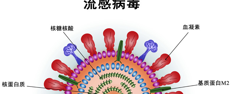 ZSP1273项目概况及临床研究进展 ZSP1273项目概况ZSP1273 是由 众生药业 和 药明康德 共同研发的具有明确作用机制和自主知识 ...